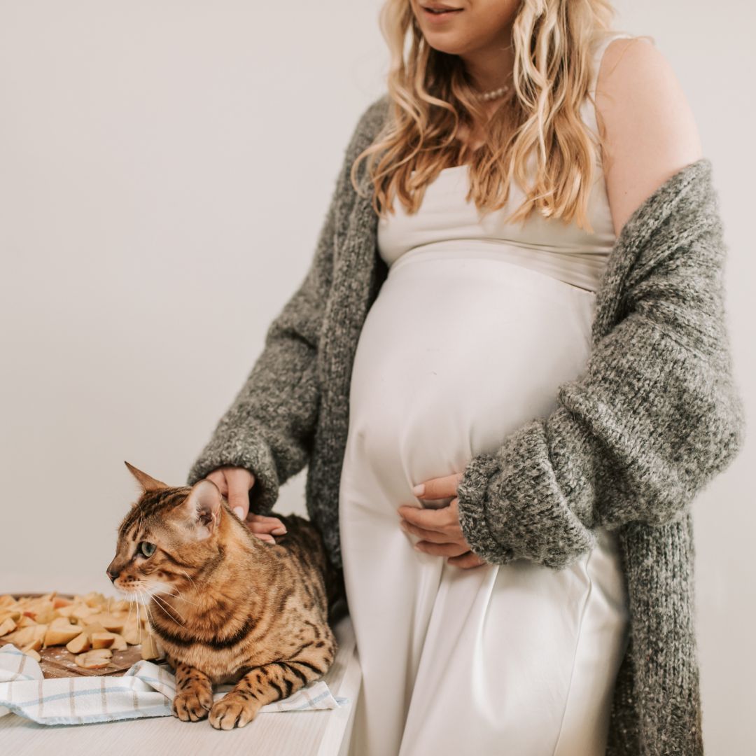 Introducing Your Baby to Your Cat - Rocket City Doulas
